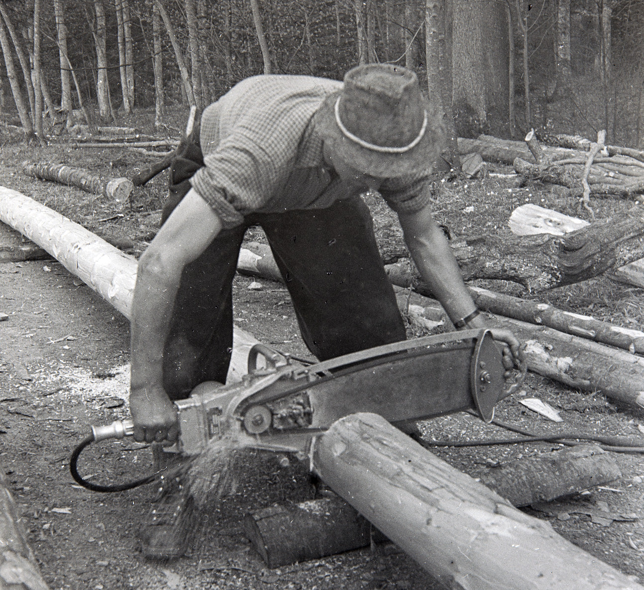 STIHL® - The Spark That Started It All – Power Place, Inc.